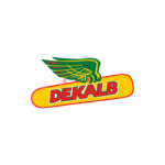 DEKALB DKC5092 Kukuruz | Hibrid za sve proizvođače
